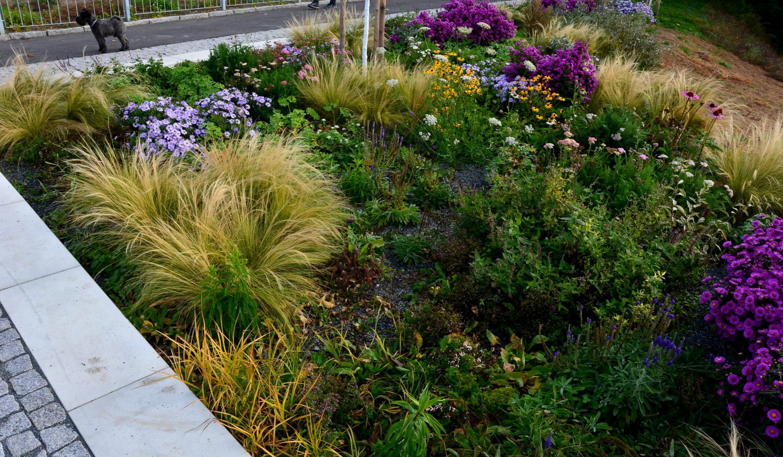 Landscape Services | Chico, CA - LC Landscape Inc.