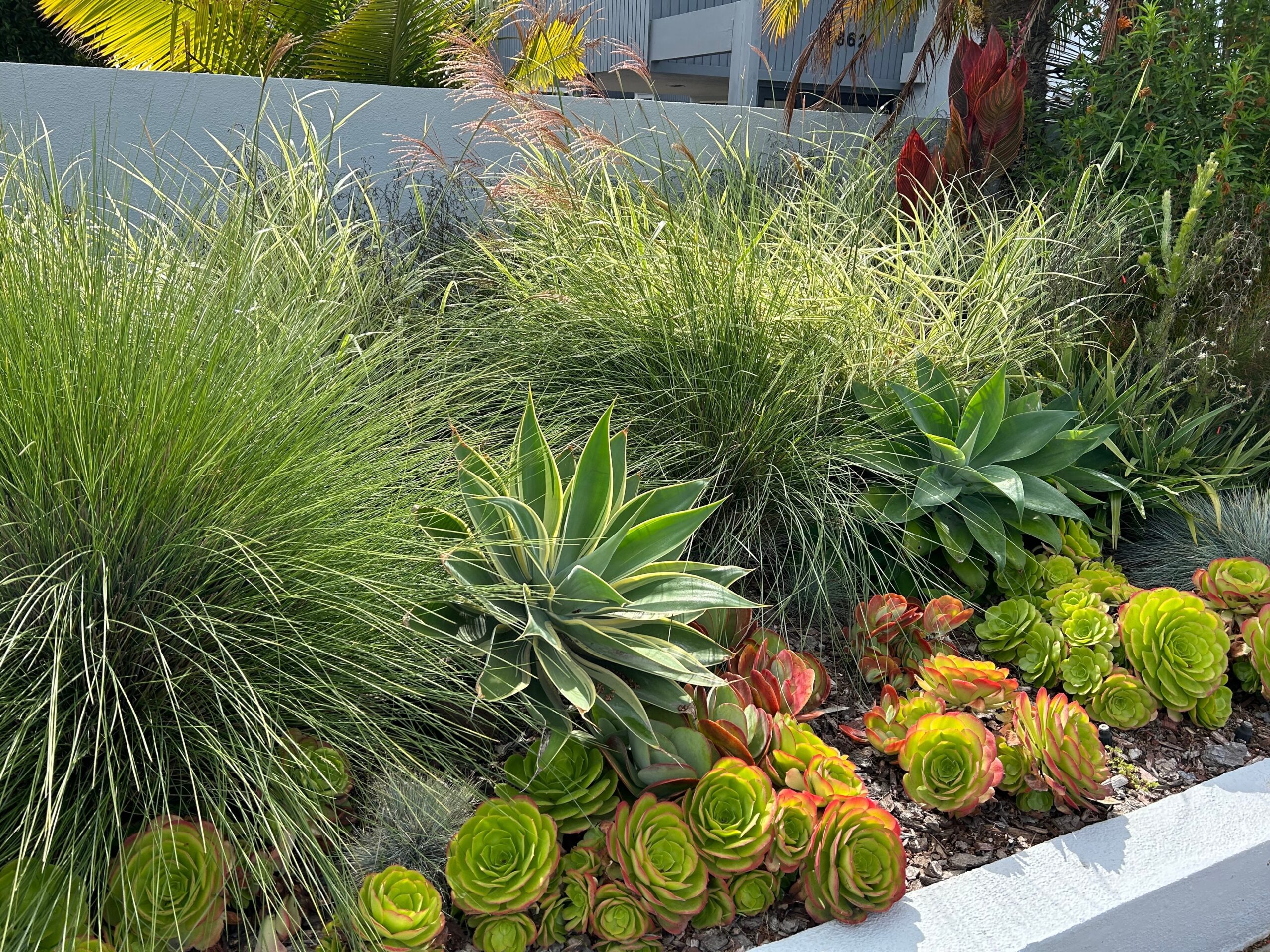 Landscape Services | Chico, CA - LC Landscape Inc.